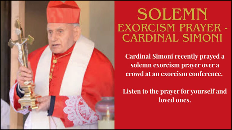 Un Cardinal catholique, par Romanus